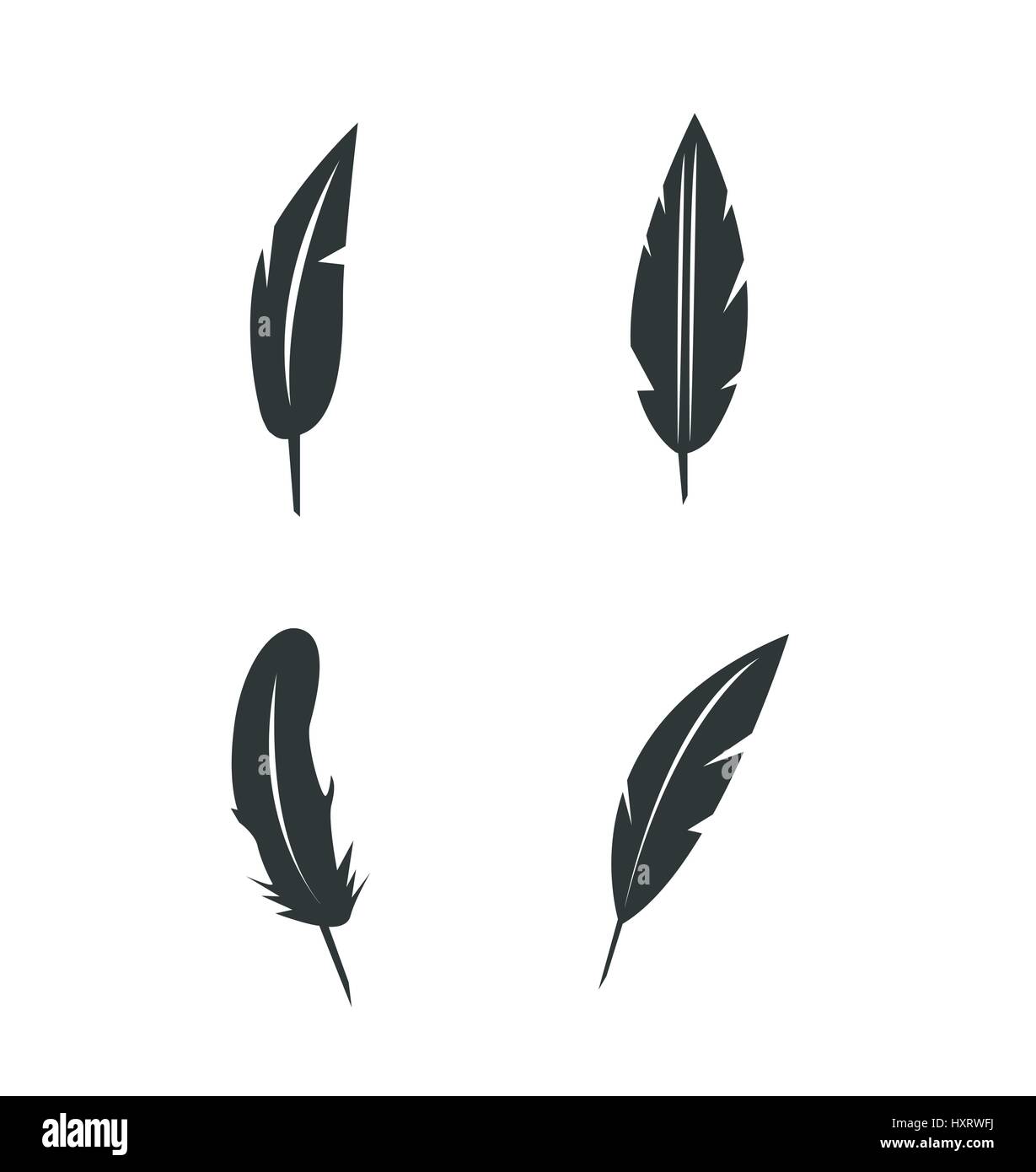Vector feather icons set on white background Stock Vector Image & Art ...