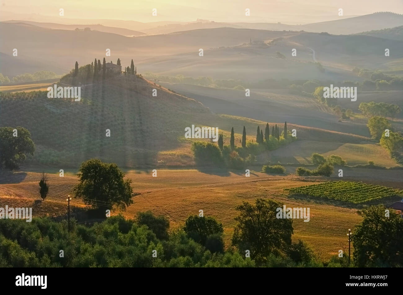 landscape in Tuscany, morning in autumn Stock Photo - Alamy