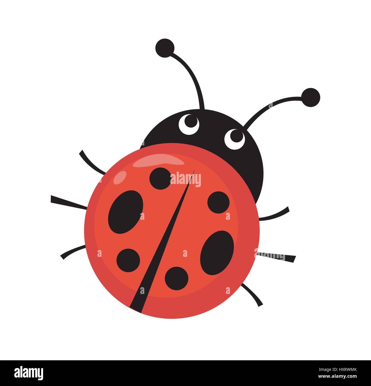 Ladybug vector illustration Stock Vector Image & Art - Alamy