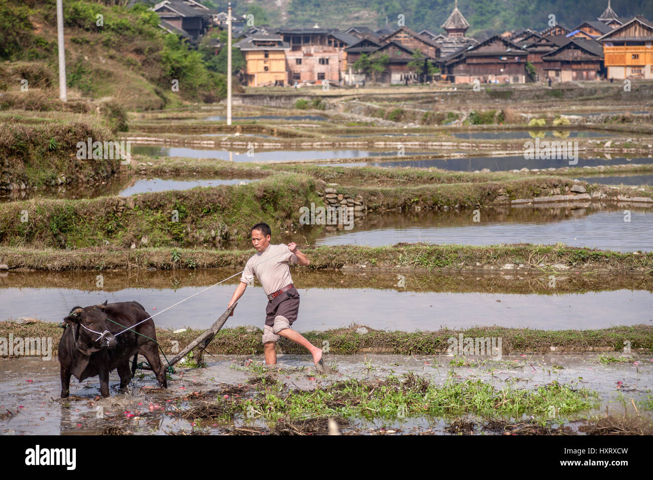 Zhaoxing Dong Village, Guizhou Province, China - April 8, 2010: Chinese ... Zhaoxing Dong Village, Guizhou Province, China - April 8, 2010: Chinese ...