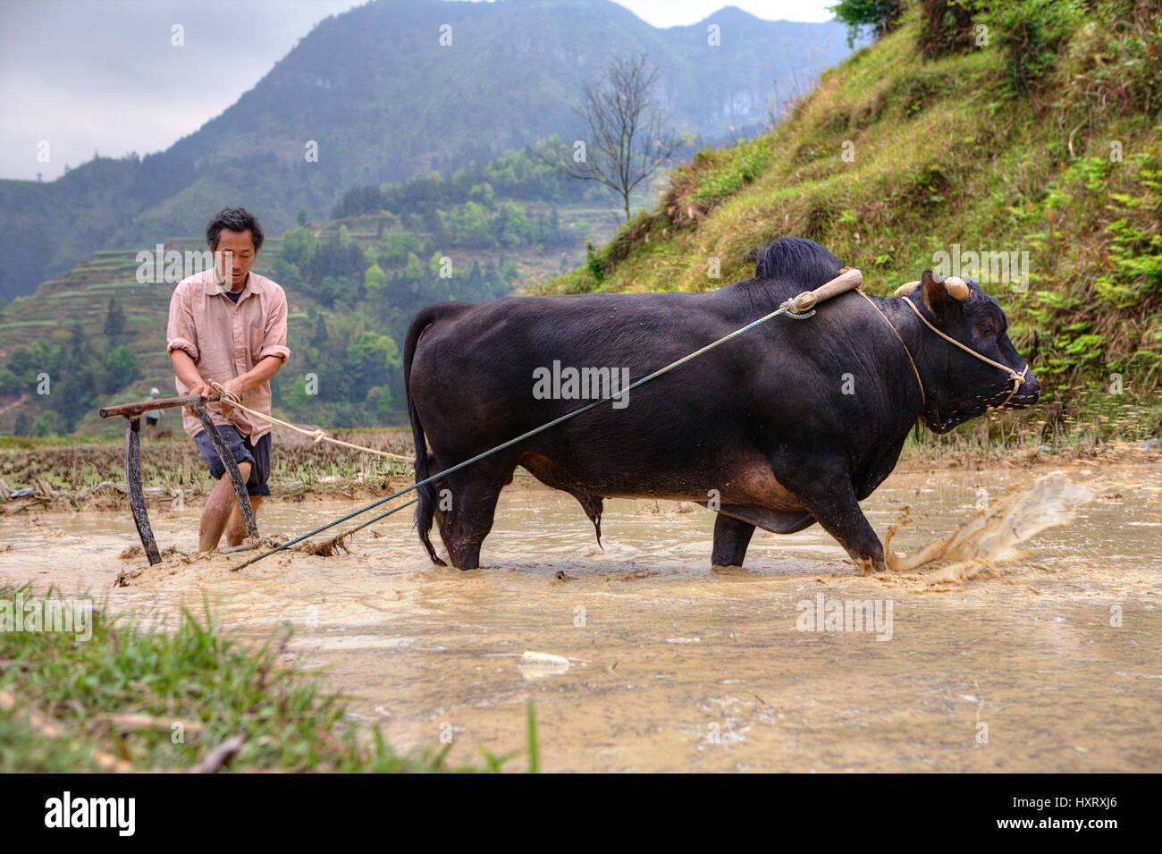 Zhaoxing Dong Village, Guizhou Province, China - April 9, 2010: Chinese ...