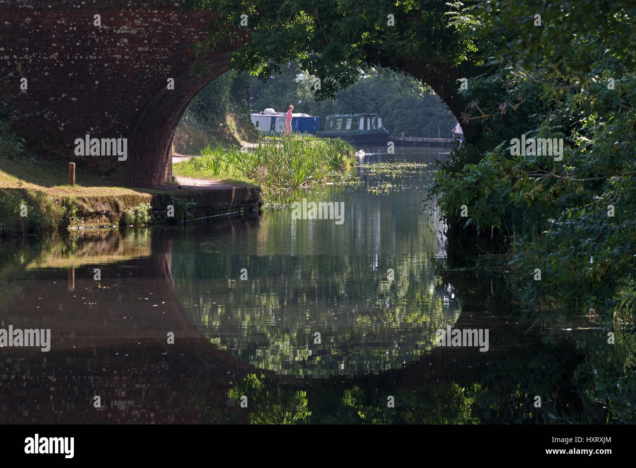 Manley Bridge on the Great Western Canal at Manley between Halberton ...