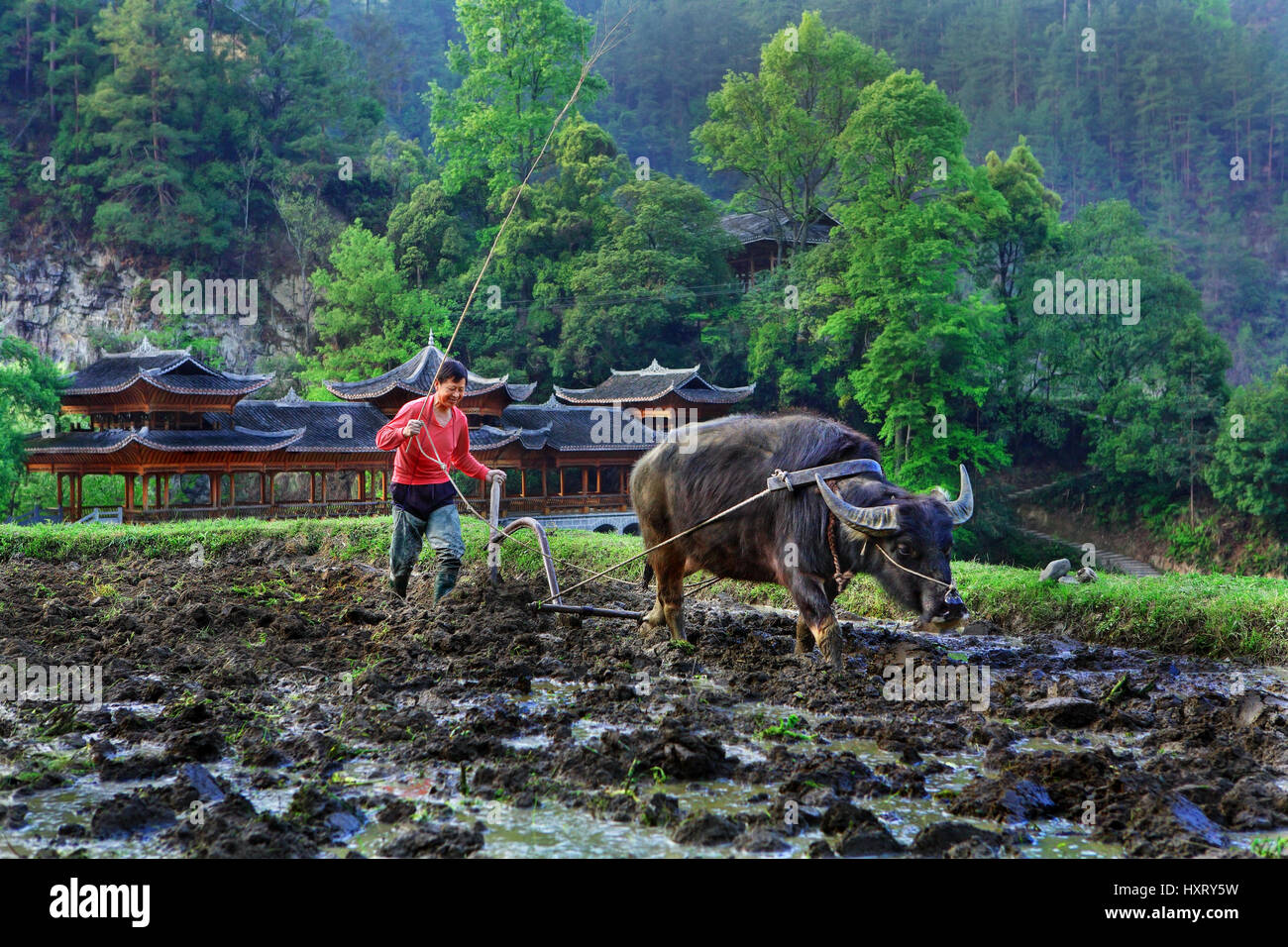 China agriculture plough hi-res stock photography and images - Alamy