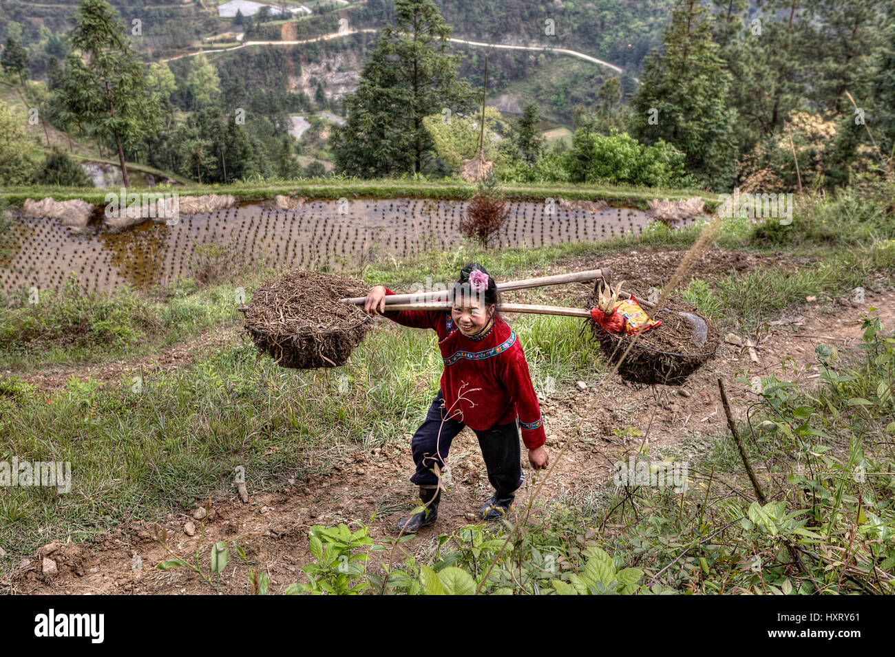 Woman with a yoke hi-res stock photography and images - Alamy