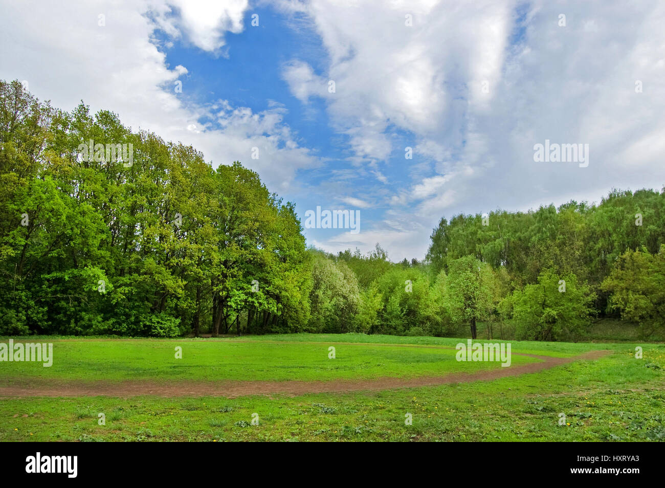 Green glade in a park among trees with a circular race track for horses ...