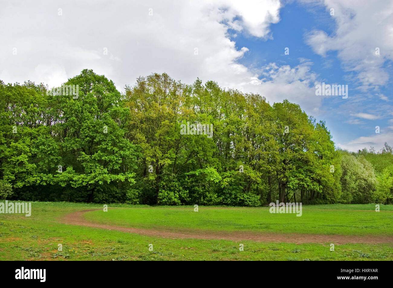 Green glade in a park among trees with a circular race track for horses ...
