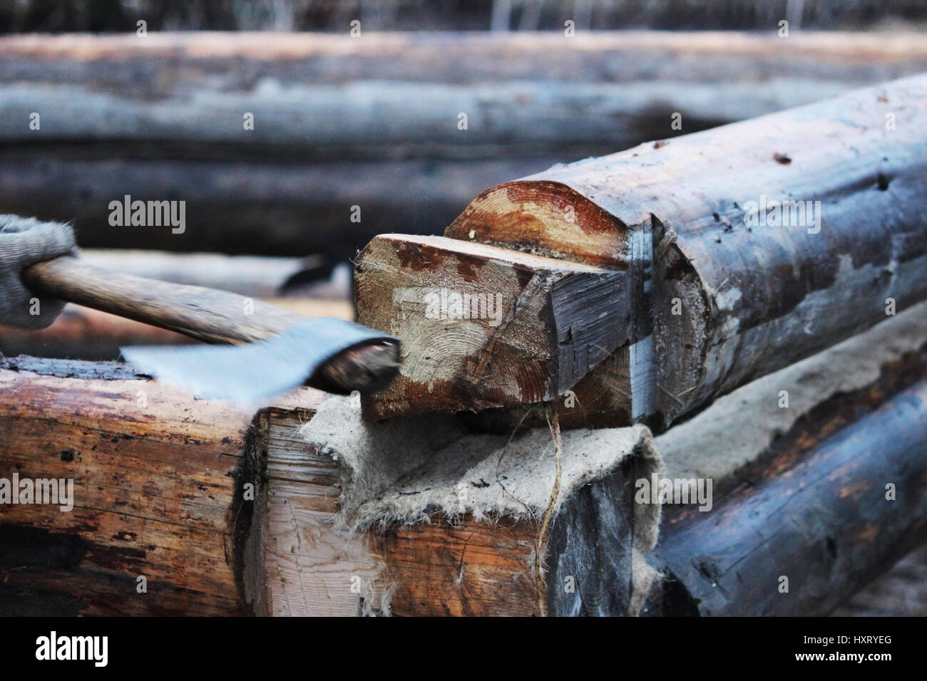 Construction of a wooden house on a pile foundation Stock Photo - Alamy