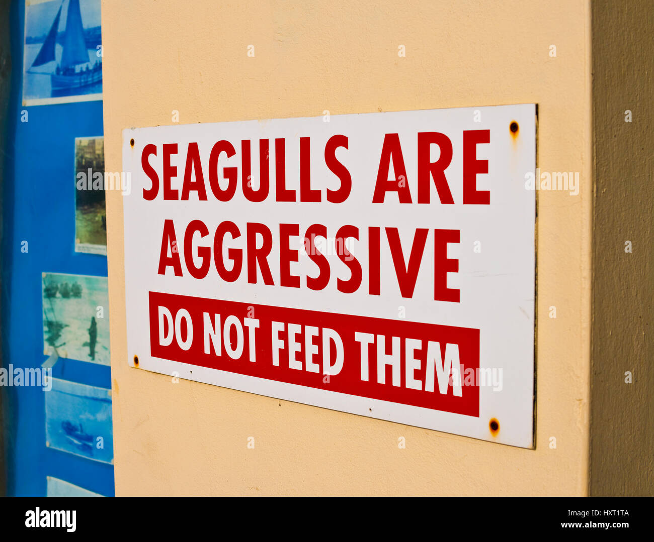 Seagull warning sign hi-res stock photography and images - Alamy