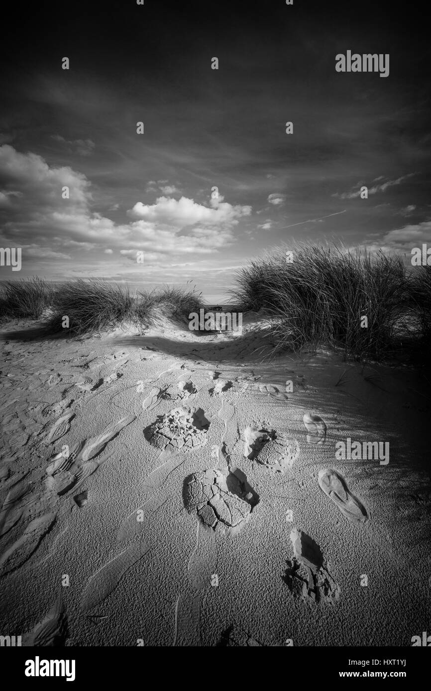 Beach dunes with grass windy Stock Photo - Alamy