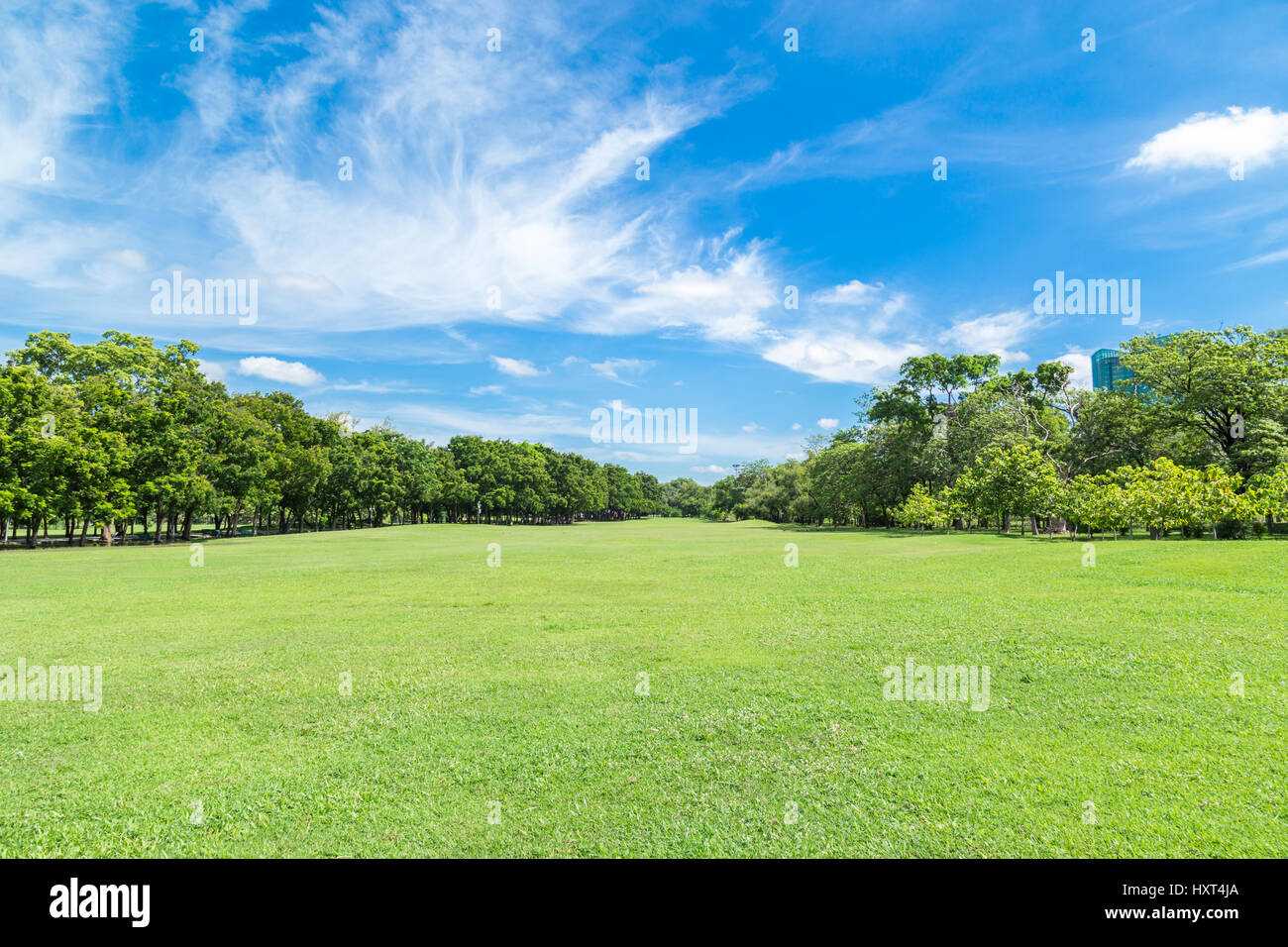 Green grass field in big city park Stock Photo - Alamy
