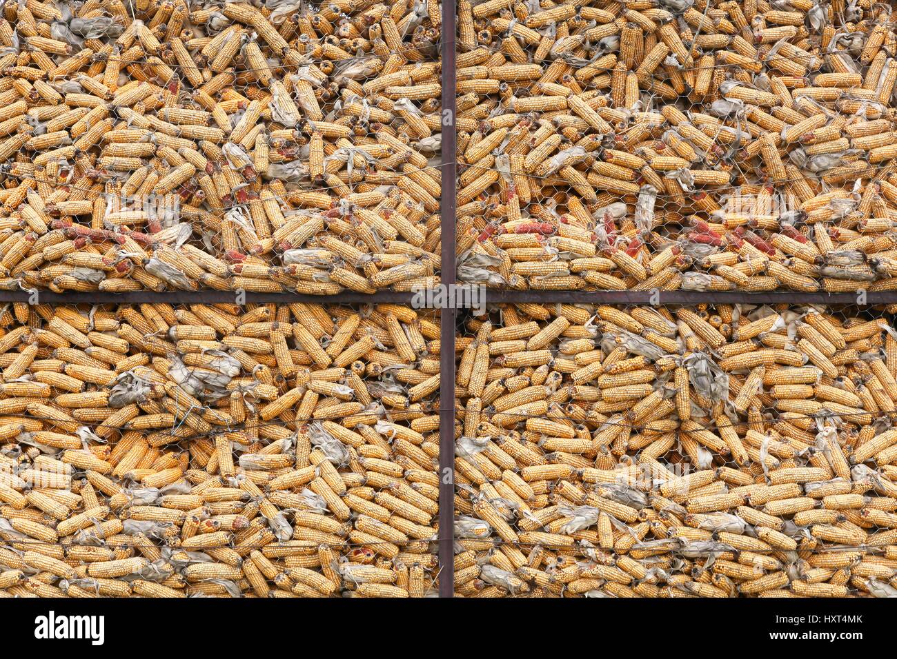 Corn storage hi-res stock photography and images - Alamy