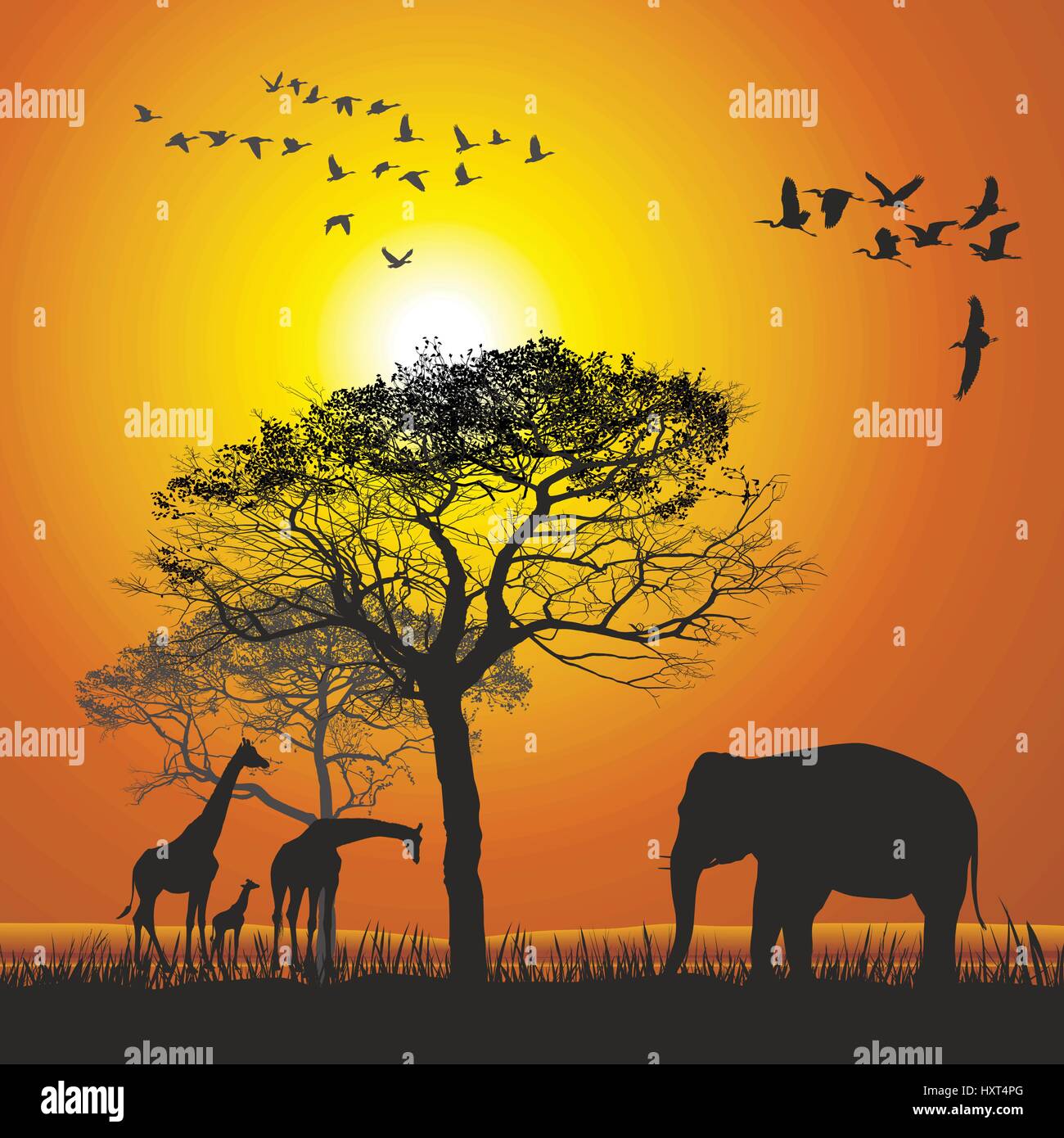 Africa safari landscape Stock Vector Images - Alamy