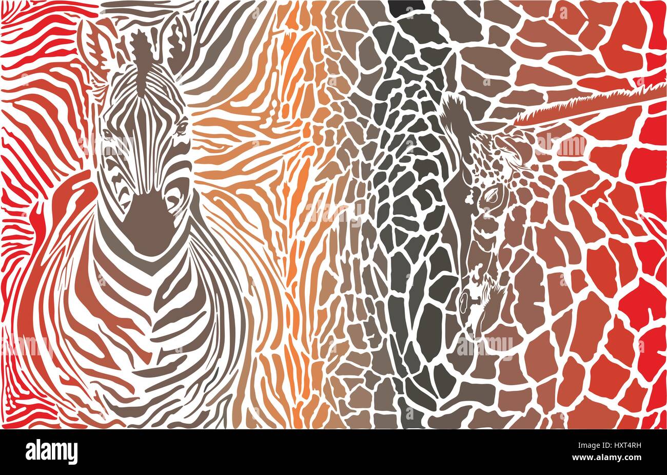 Animal background of zebra and giraffe Stock Vector Image & Art - Alamy