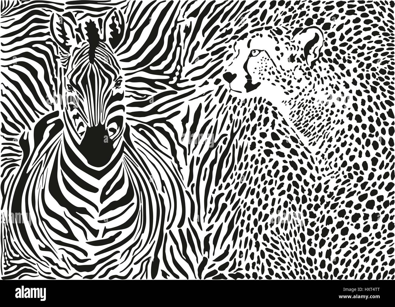 Cheetah hunt zebra hi-res stock photography and images - Alamy