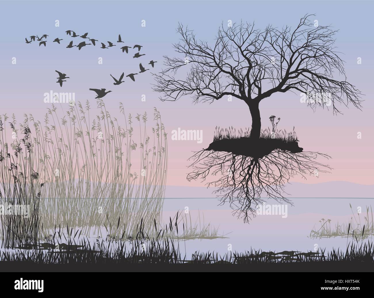Drawings Of Trees Without Leaves And With Roots