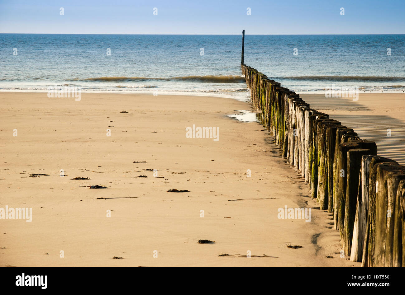cadzand beach, north sea, netherlands Stock Photo - Alamy