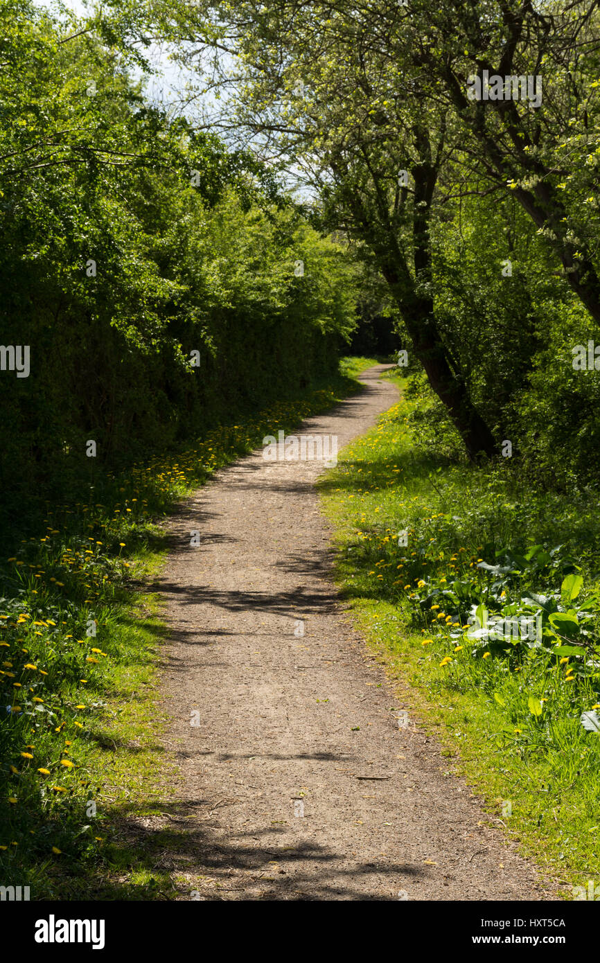 Through green plants hi-res stock photography and images - Alamy
