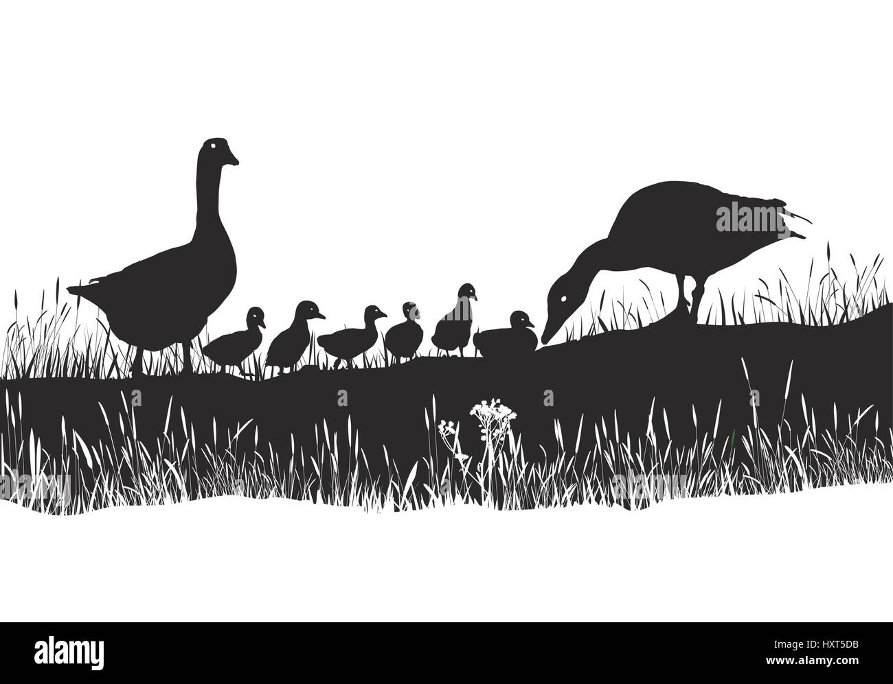 Yellow geese Stock Vector Images - Alamy