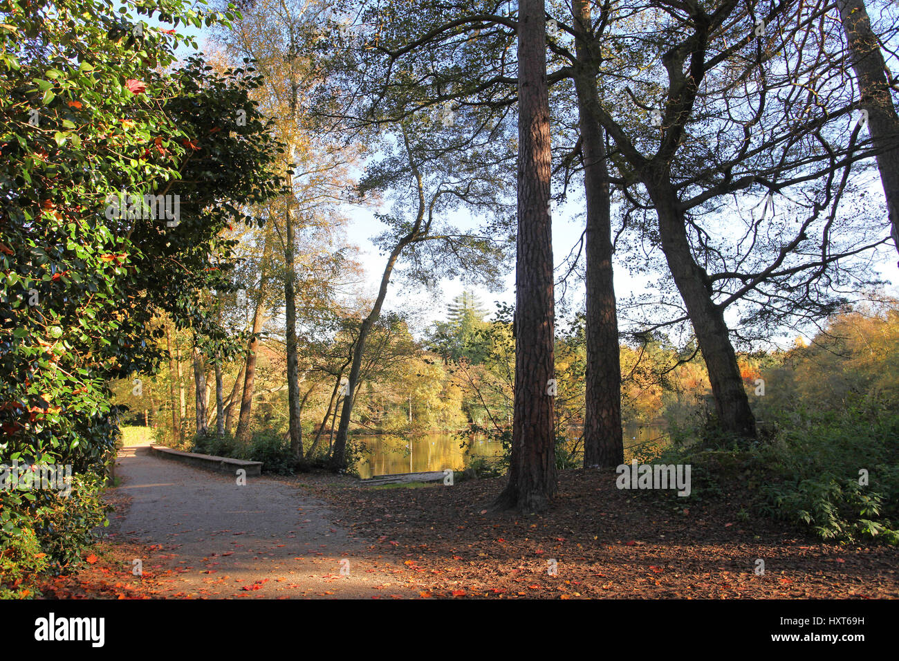 Tilgate Park Lake, Crawley, West Sussex, England, UK Stock Photo - Alamy