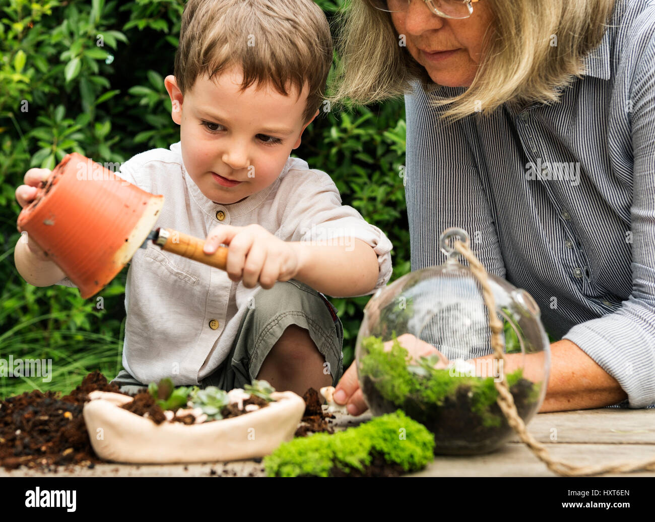 Botanical Environment Green Pottery Nature Stock Photo - Alamy