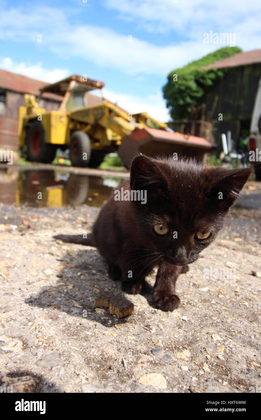 Down the lens camera outside hi-res stock photography and images - Alamy