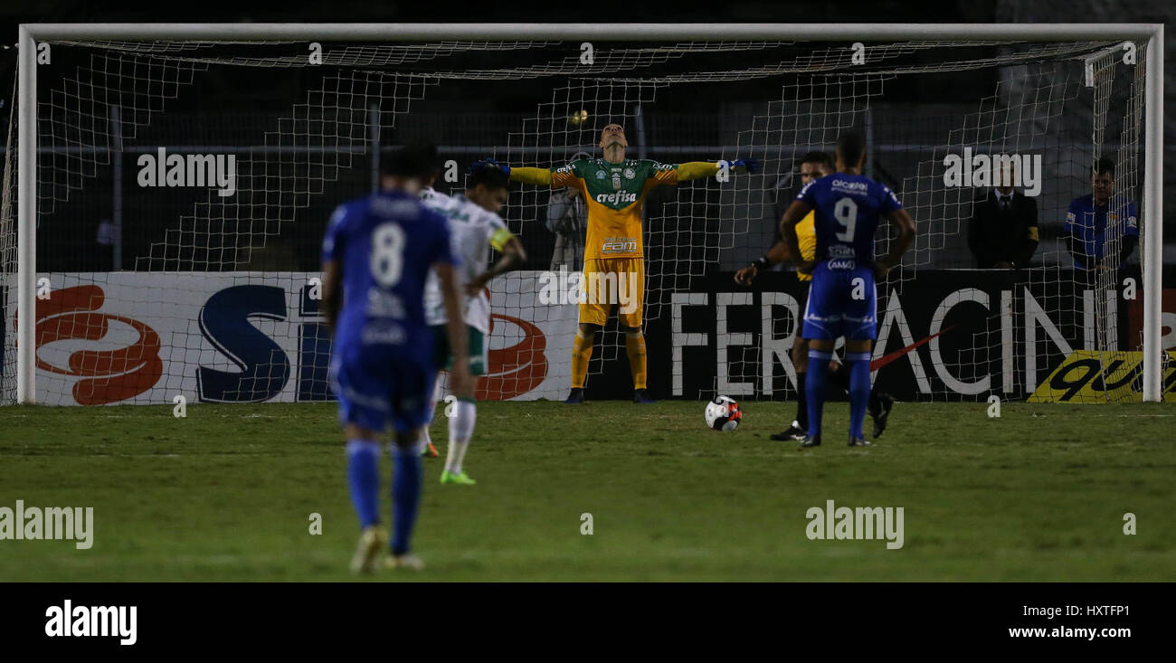 Campinas, Brazil. 29th Mar, 2017. The goalkeeper Fernando Prass, the SE ...