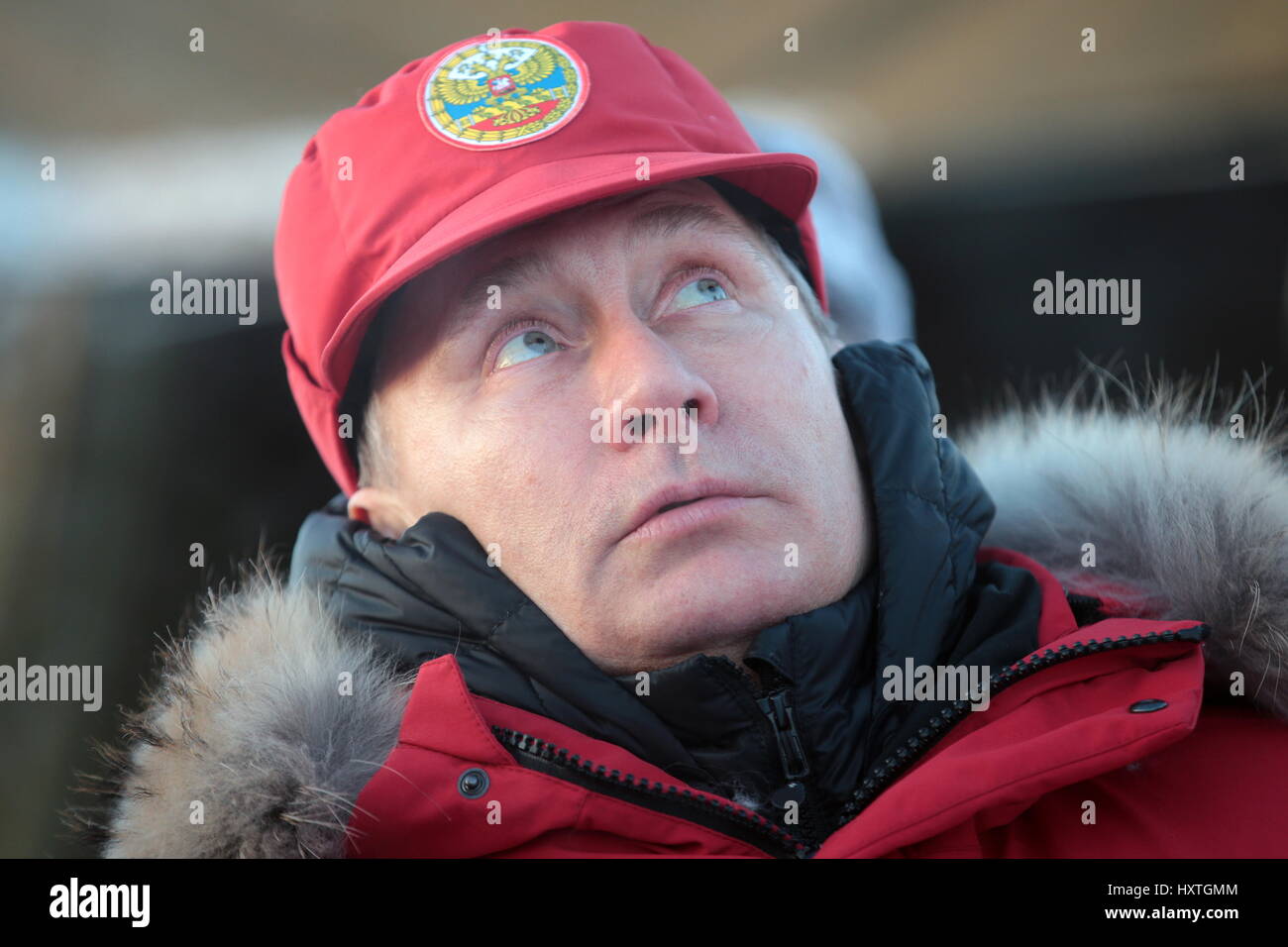 Putin hat hi-res stock photography and images - Alamy