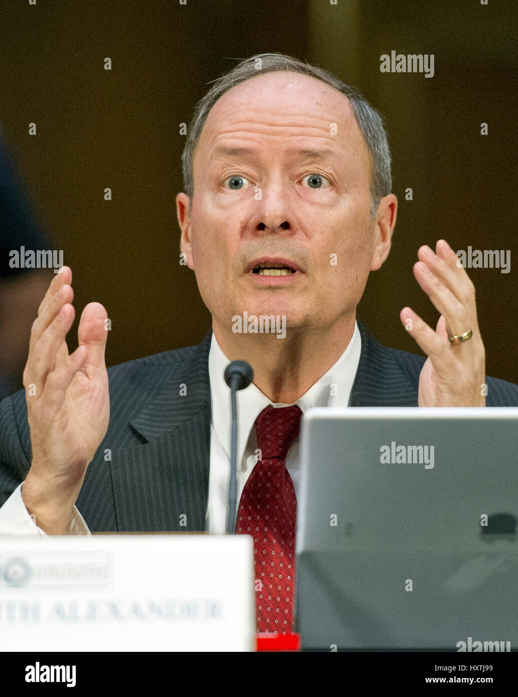 Nadine Nally's Instagram, Twitter & Facebook on IDCrawl