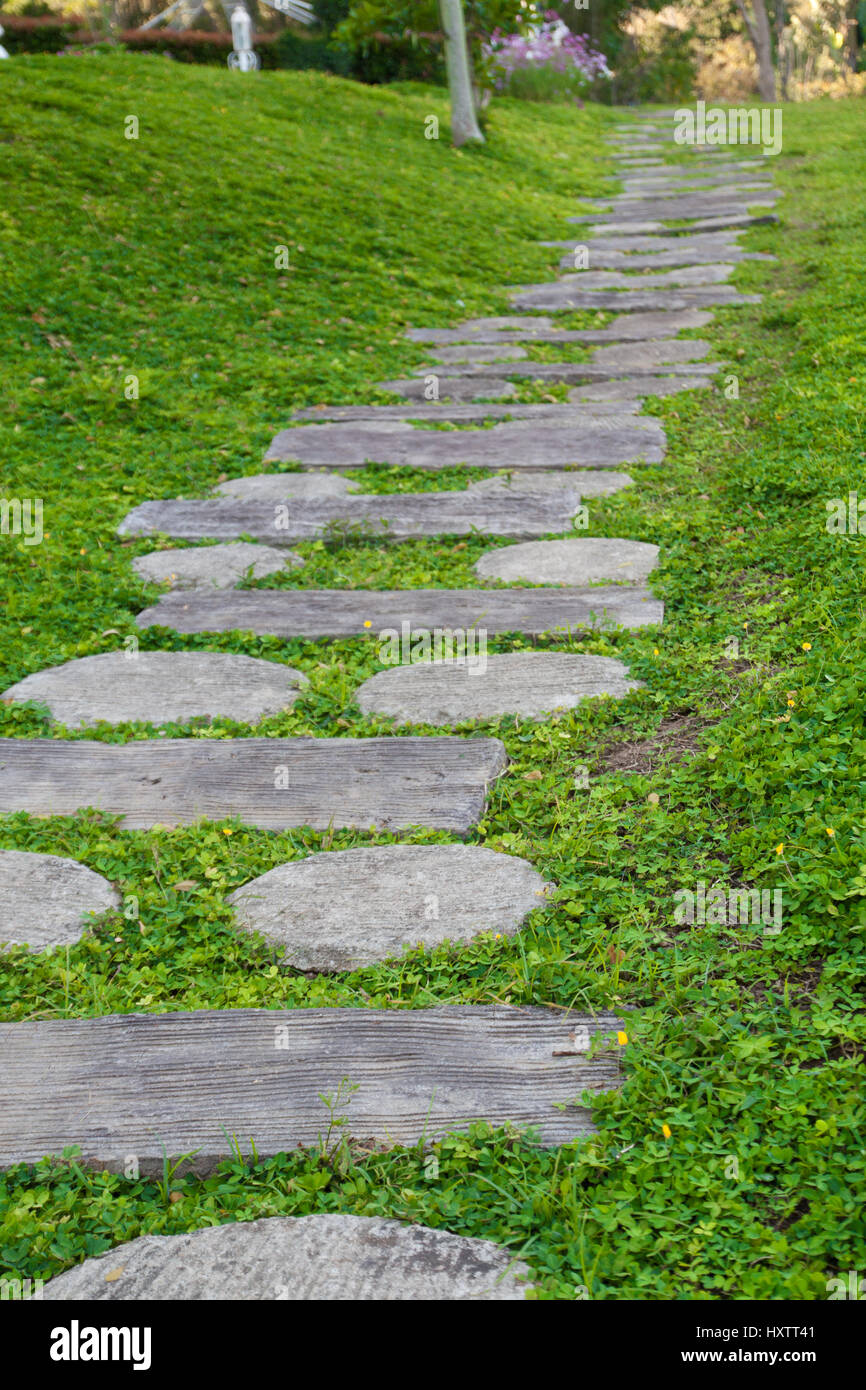 pattern of square cement floor tiles with green grass blackground Stock ...