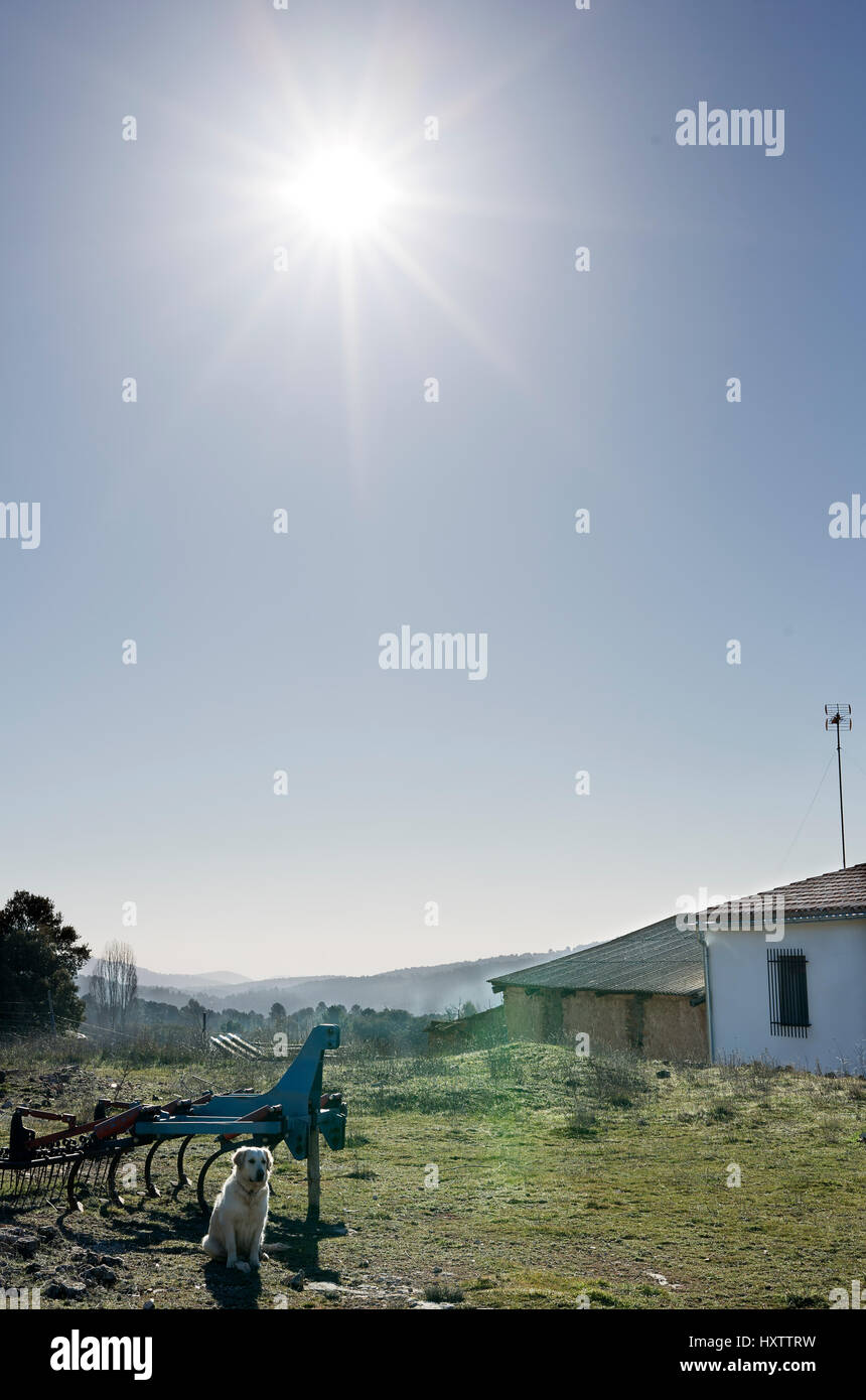 Landscape of a Spanish village with the sun in the frame. Vertical shot ...