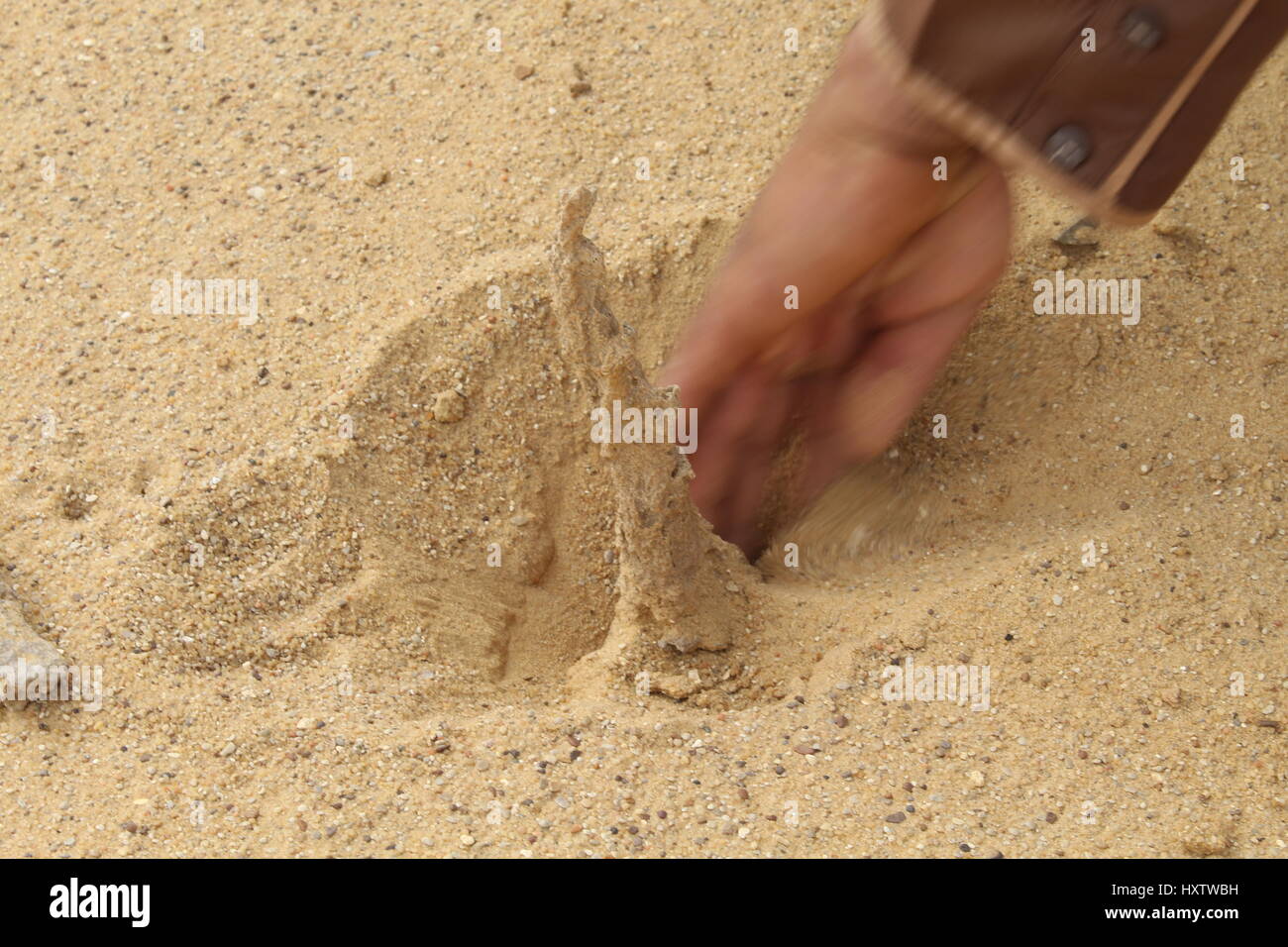 Strange Shapes of Sahara Desert South of Lake Quaroun, an ancient ...