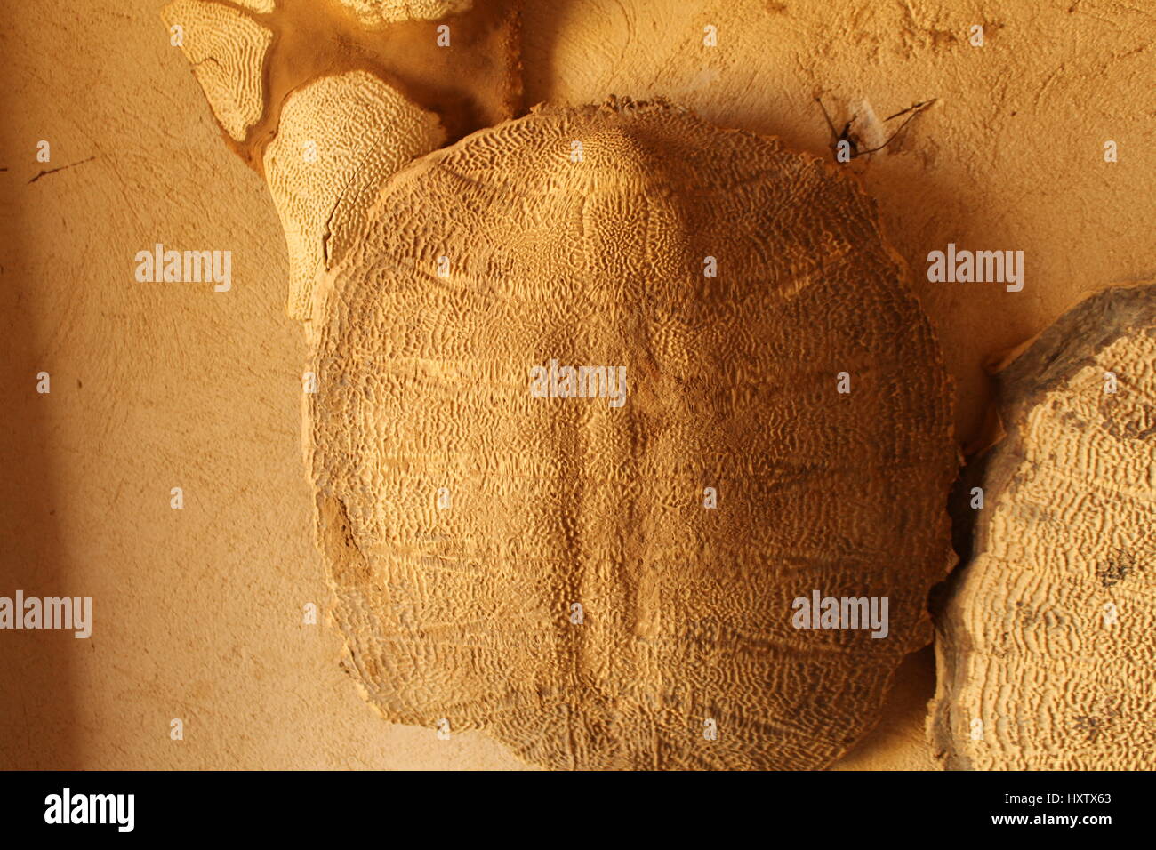 Strange Shapes of Sahara Desert South of Lake Quaroun, an ancient ...