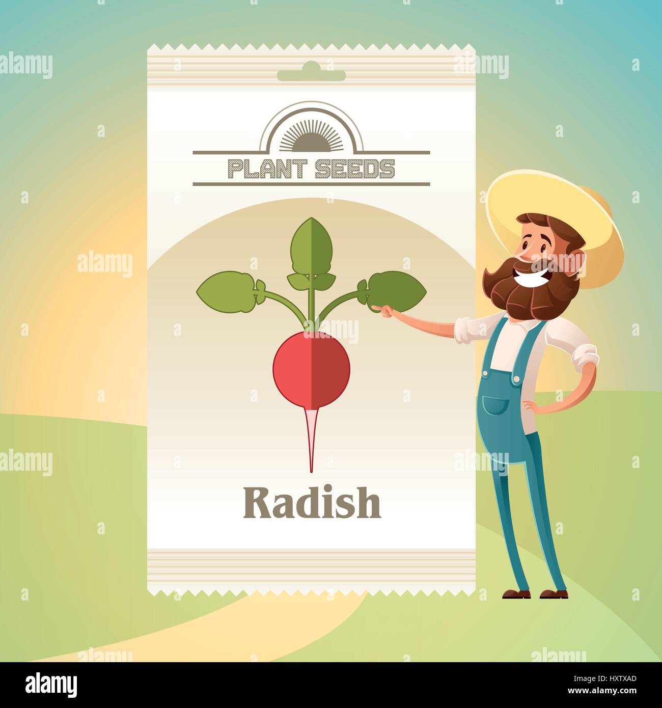 Radish seed white background Stock Vector Images - Alamy