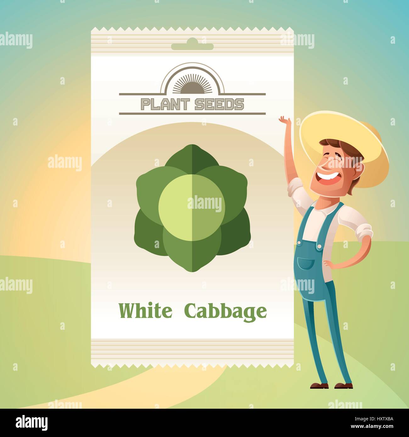 Pack of White Cabbage seeds Stock Vector Image & Art - Alamy