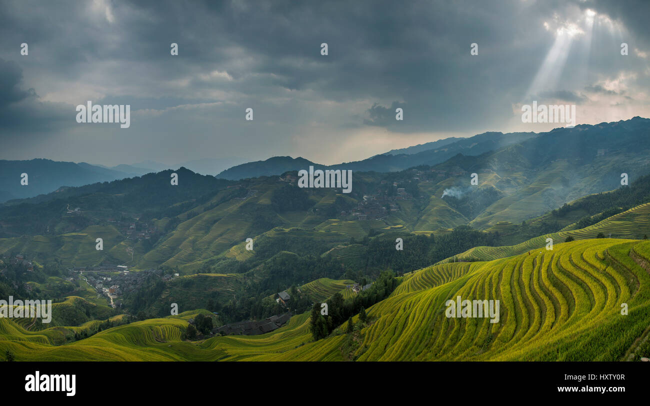 Longji rice terraces dazhai village hi-res stock photography and images ...