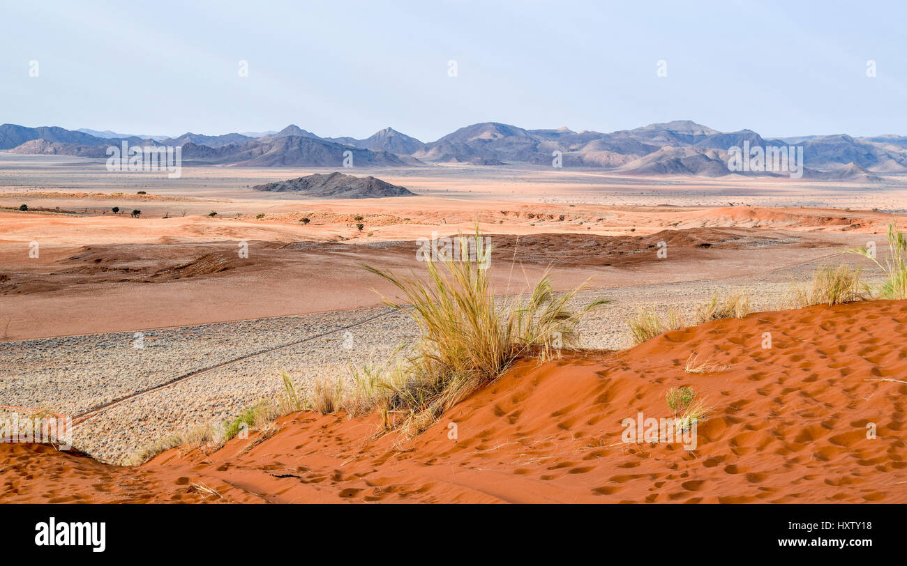 Savannah Vegetation Namibia High Resolution Stock Photography and ...