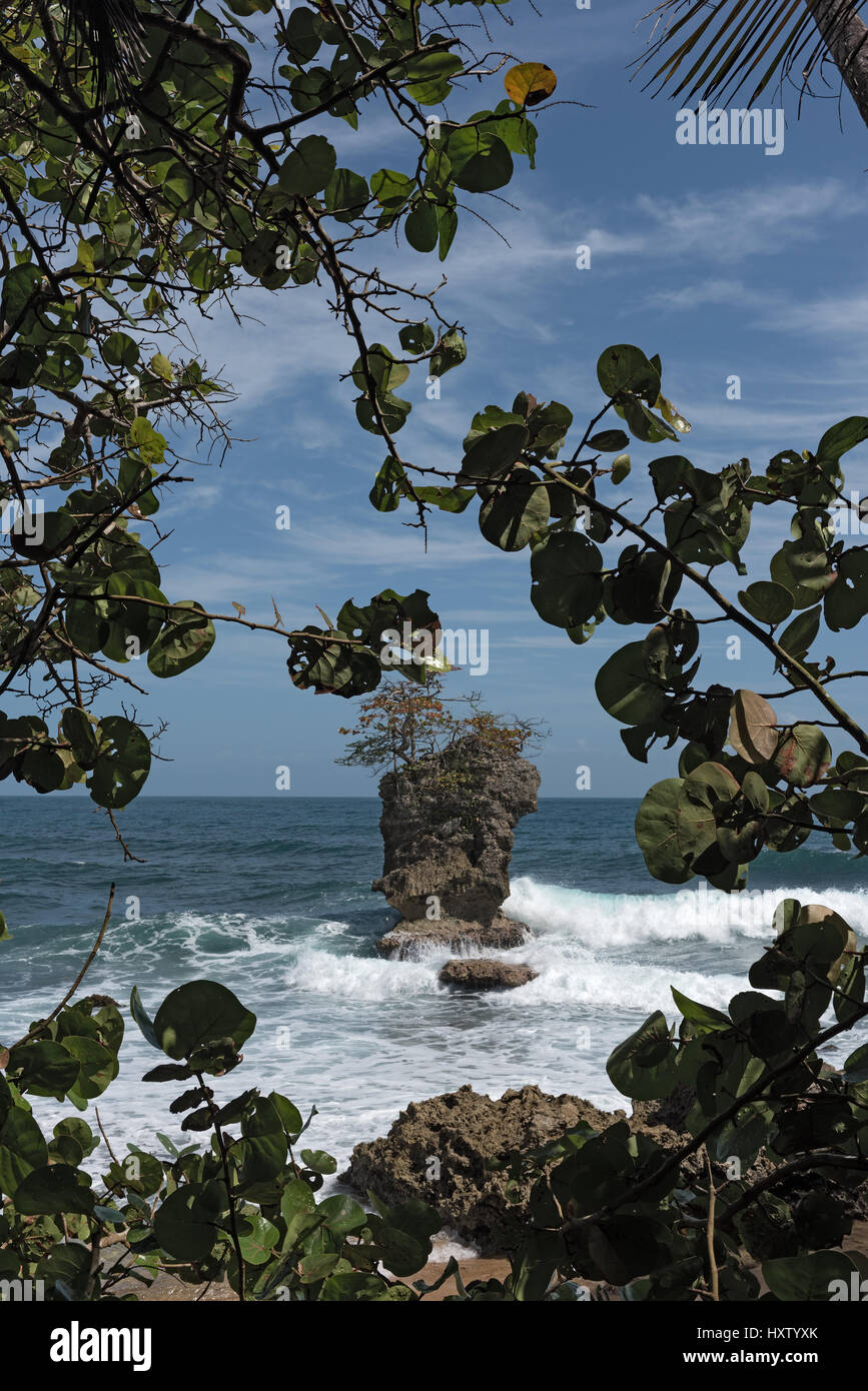 Coast with rock at Punta Manzanillo, Gandoca Manzanillo National ...