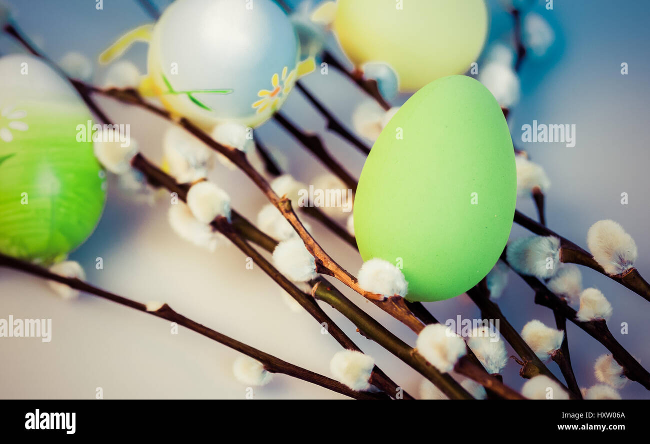 Pussy-willow and easter eggs Stock Photo - Alamy