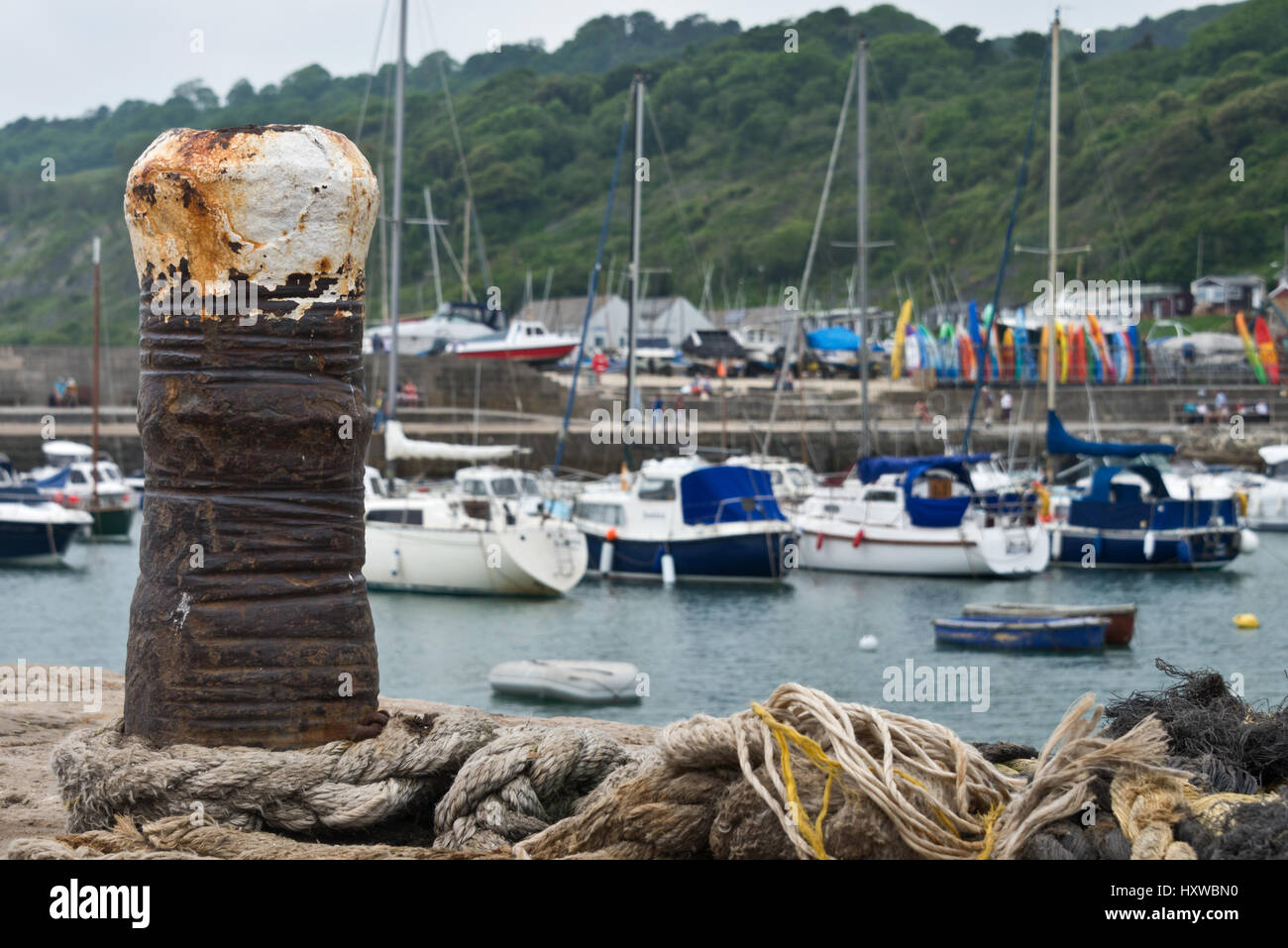 A mooring post and ropes on the quay side of the Cobb with yachts ...