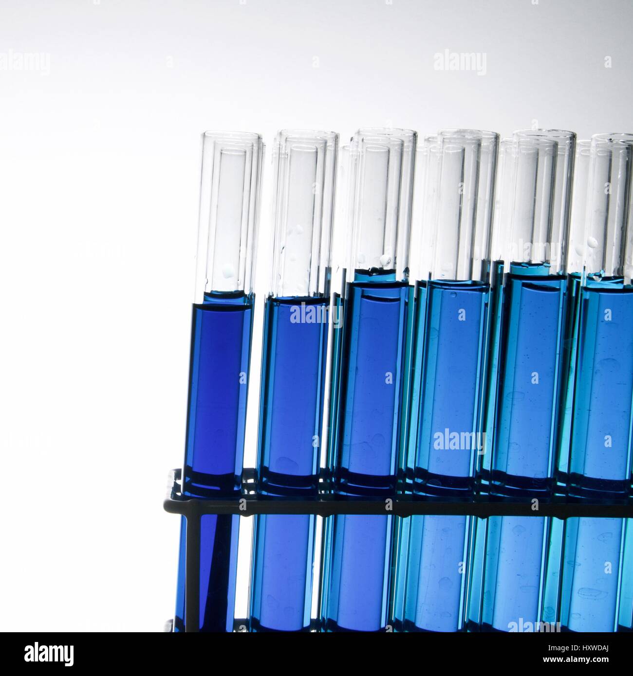 blue test tubes in a rack with white background Stock Photo - Alamy