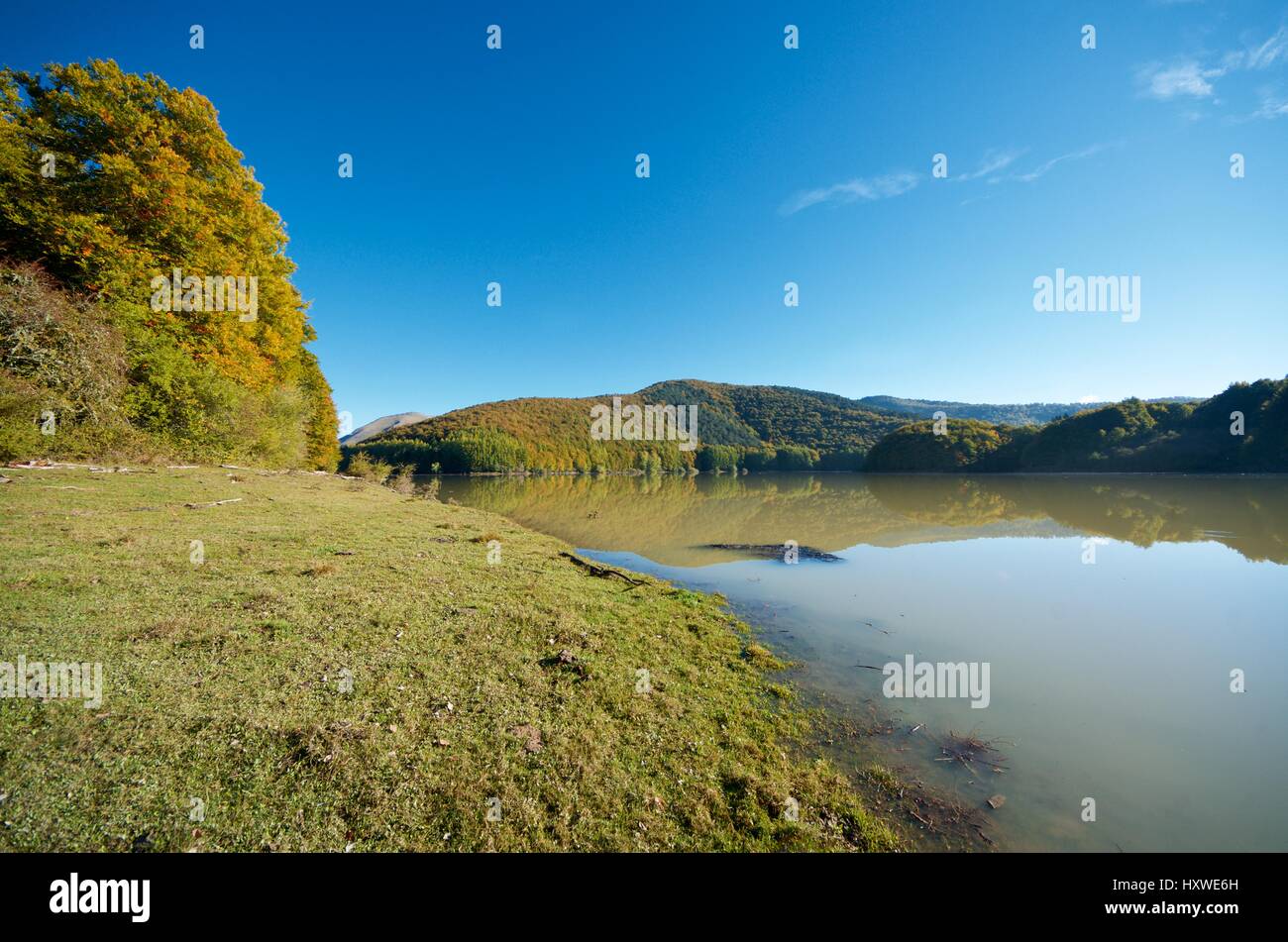 Jungle irati hi-res stock photography and images - Alamy