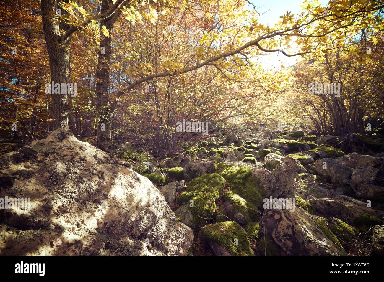 Moncayo Natural Park, Zaragoza, Aragon, Spain Stock Photo - Alamy