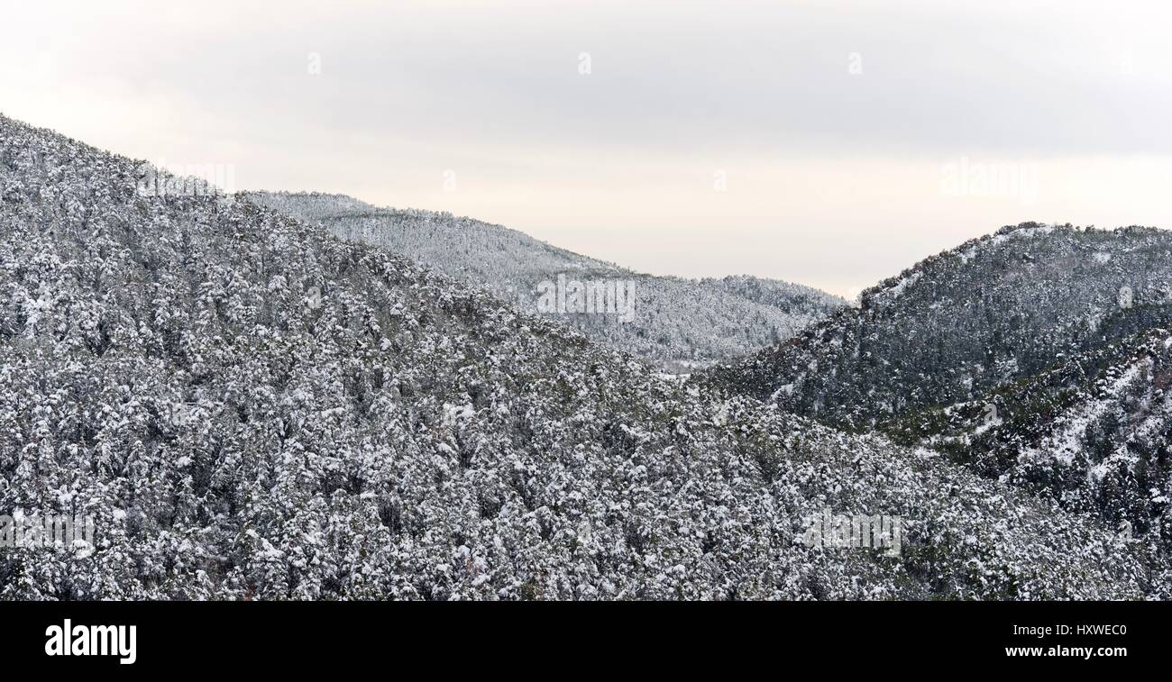 Snowy forest in Oroel Mountains, Pyrenees, Jaca, Huesca, Aragon, Spain ...