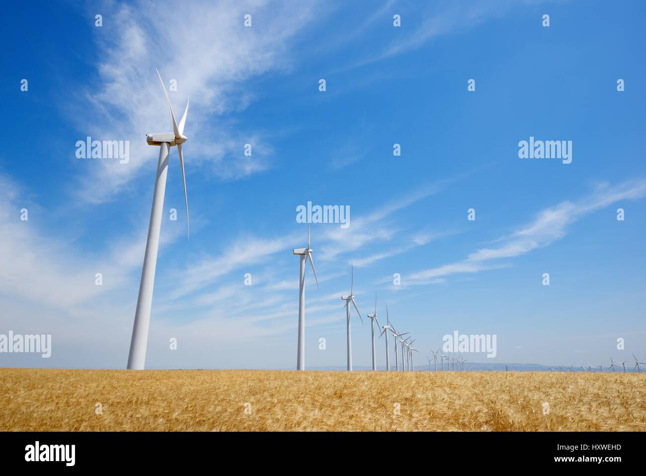 group of windmills for renewable electric energy production, Pozuelo de ...