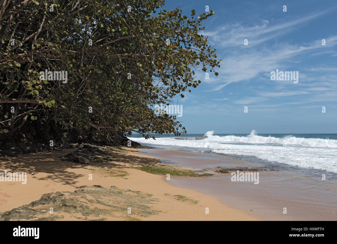 Coast with rock at Punta Manzanillo, Gandoca Manzanillo National ...
