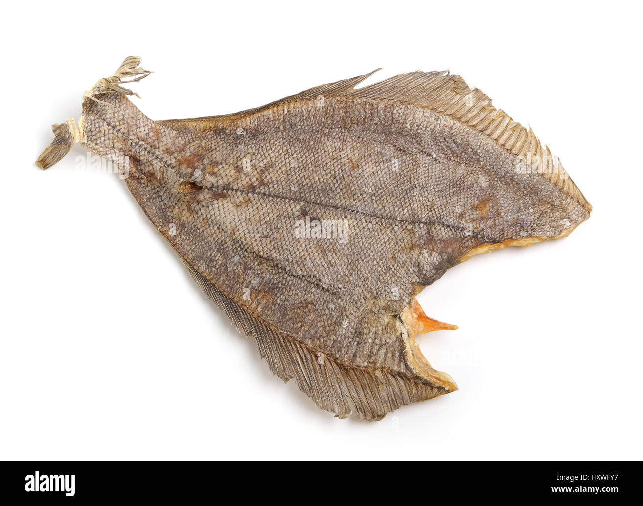 Dry fish isolated on white background Stock Photo - Alamy