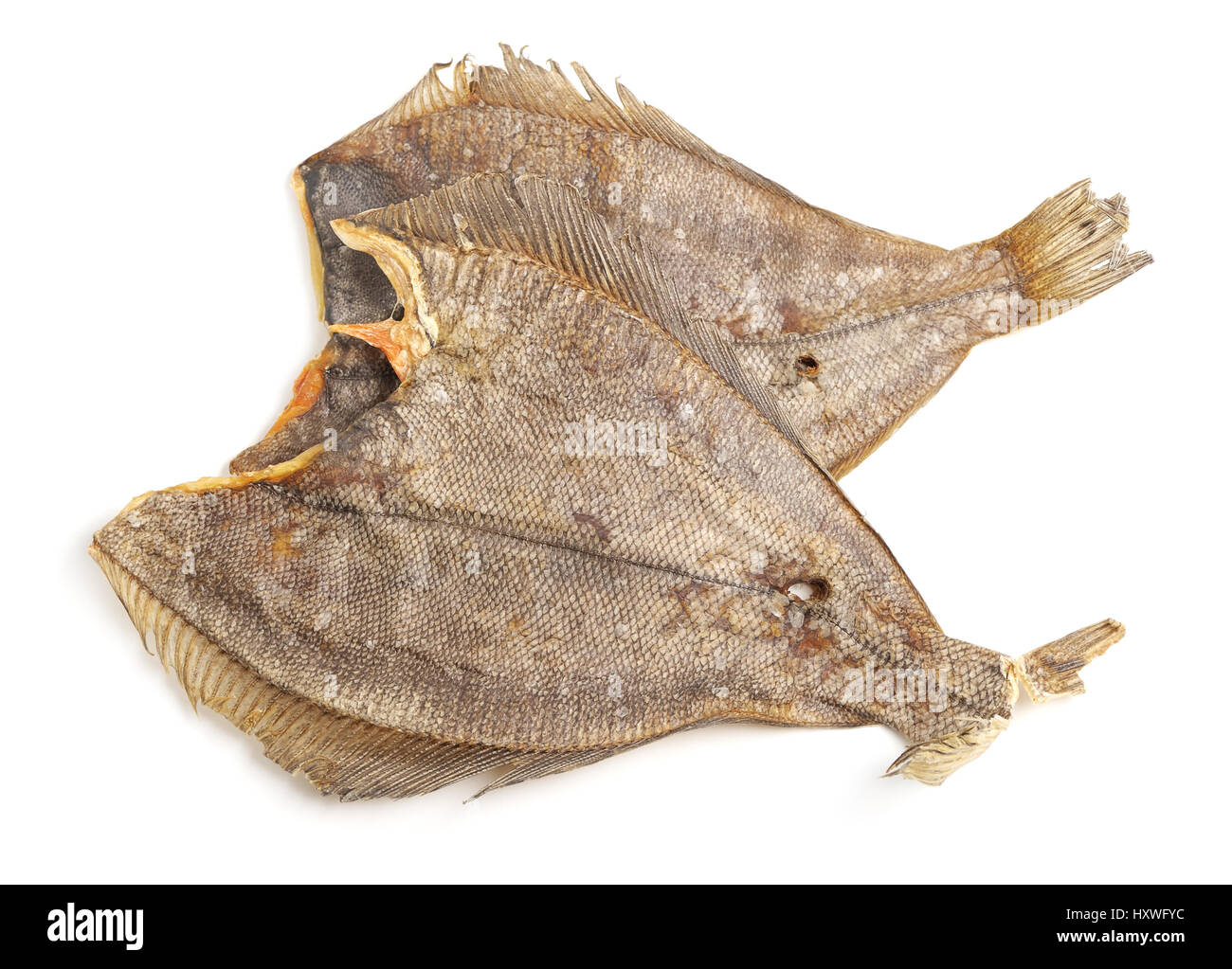Dry fish isolated on white background Stock Photo - Alamy