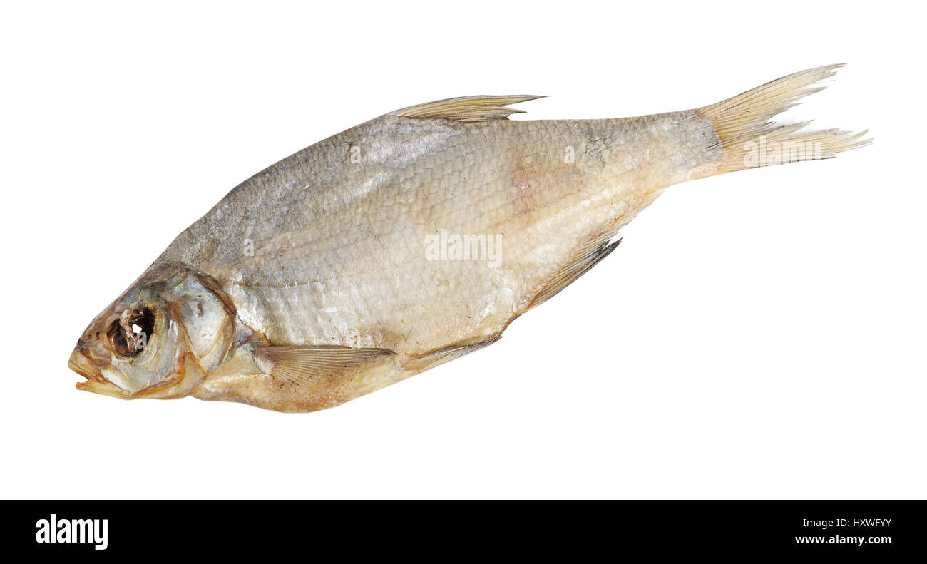 Dry fish isolated on white background Stock Photo - Alamy