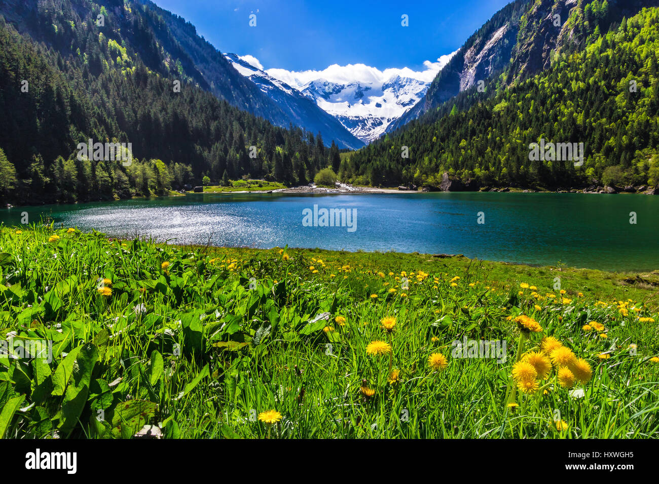 Mountain Landscape Lake Meadow