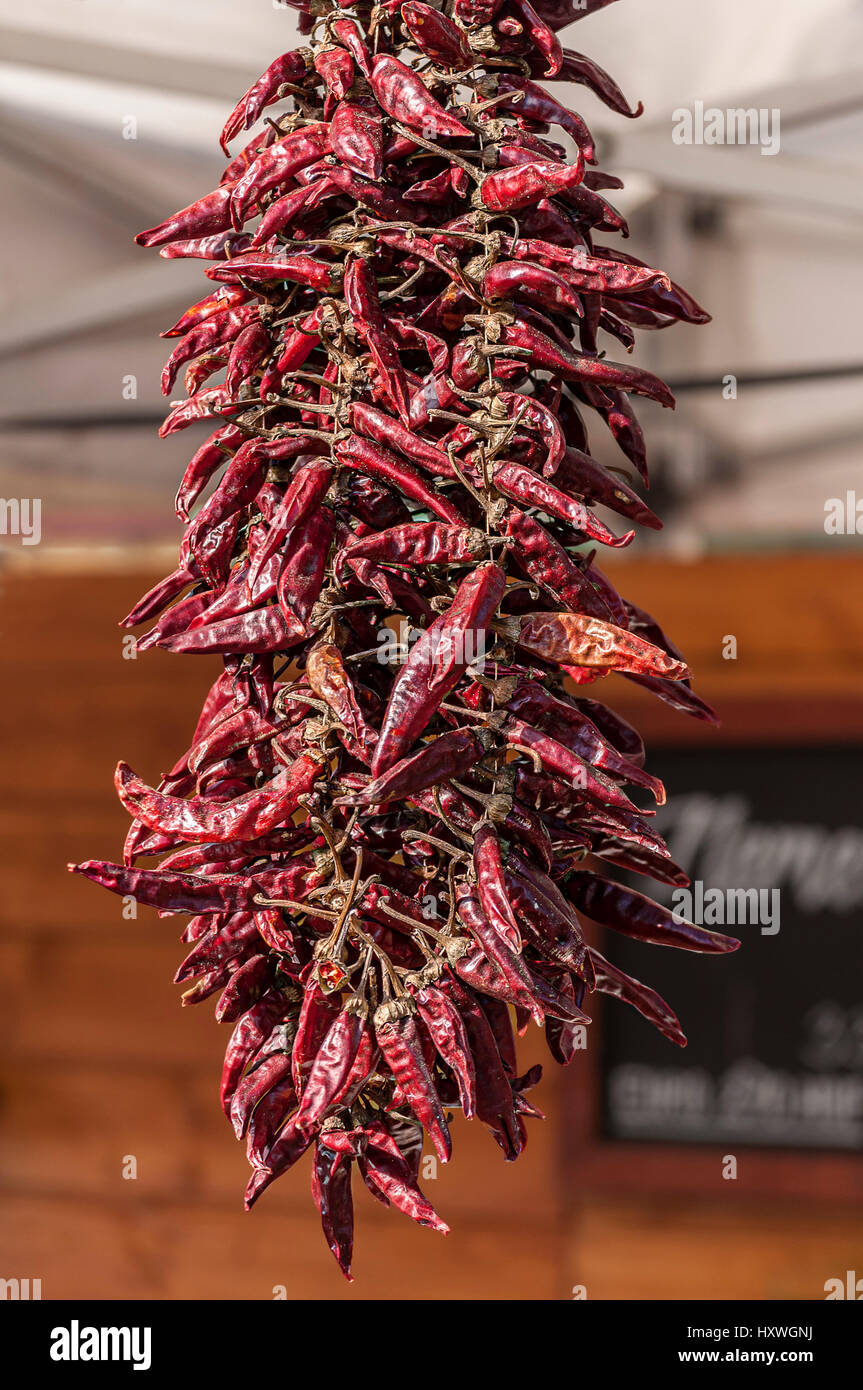 Dried red paprika hanging. Red hot chilli pepper Stock Photo - Alamy